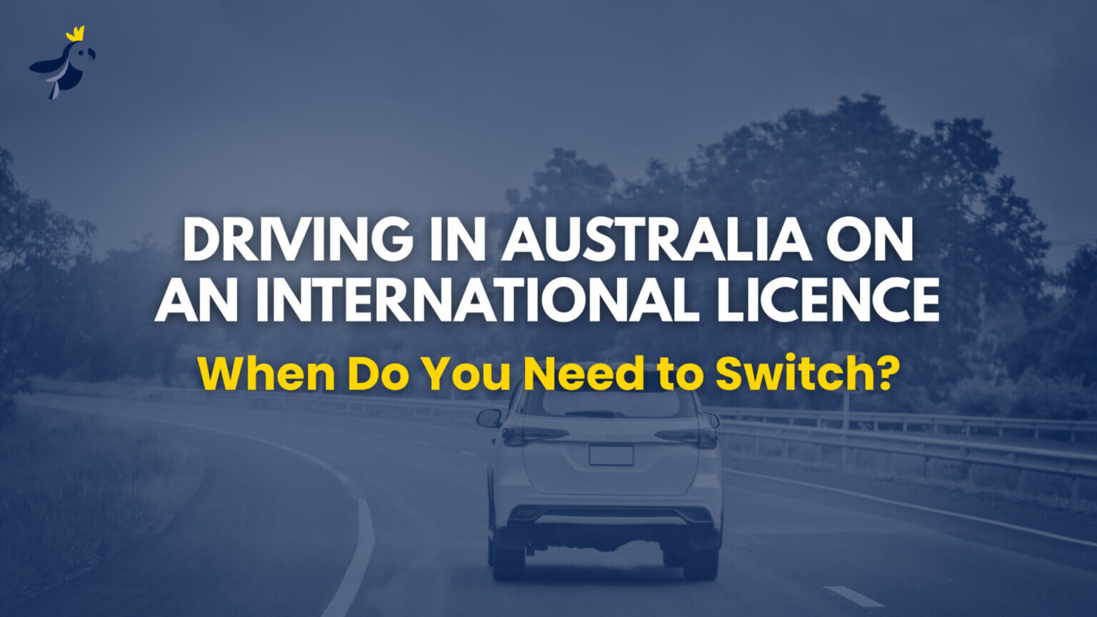 Driving in Australia on an International Licence: When Do You Need to ...